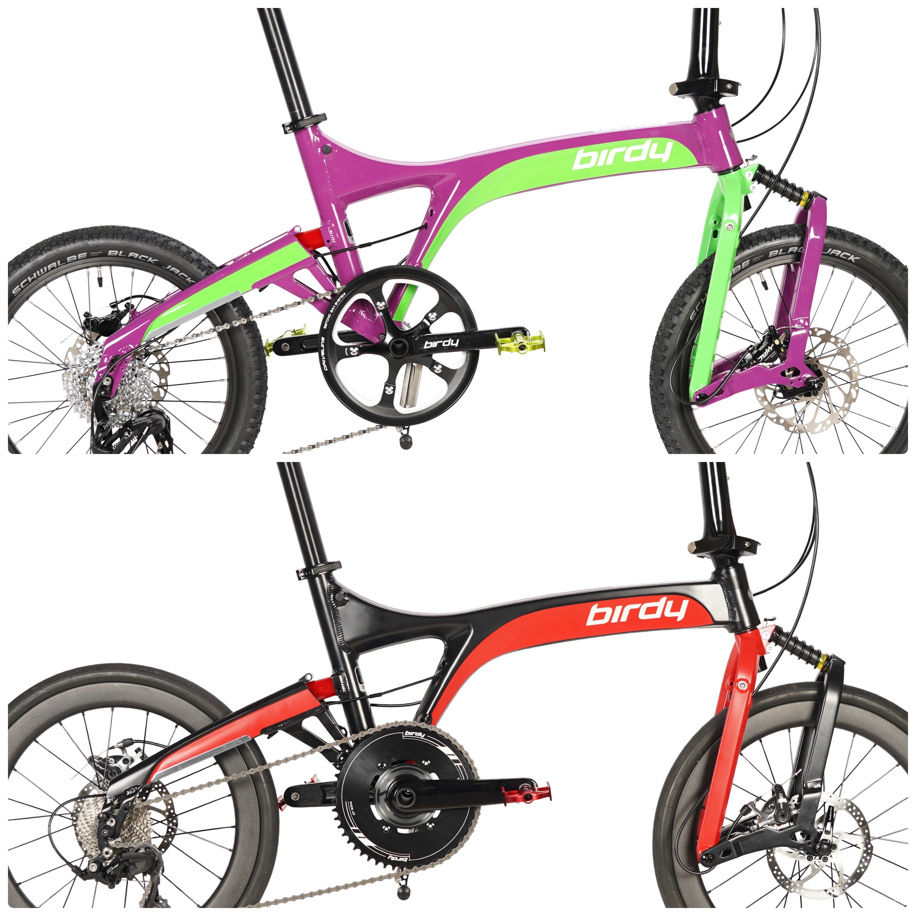 【birdy x 限定】各色10台限定のプレミアムカラー登場！