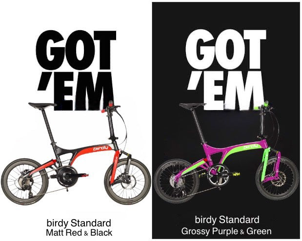 入荷台数限定各10台!birdy STD入荷決定!