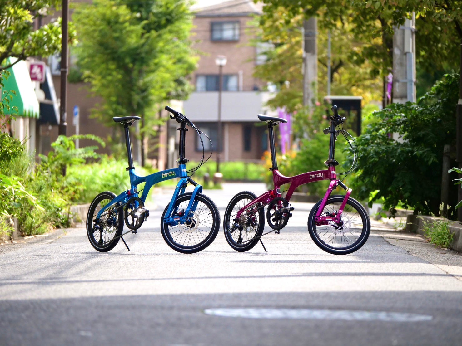 【birdy x Limited】Flash⚡︎カラー入荷いたしました